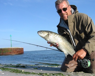 Multetips - brakvand.com