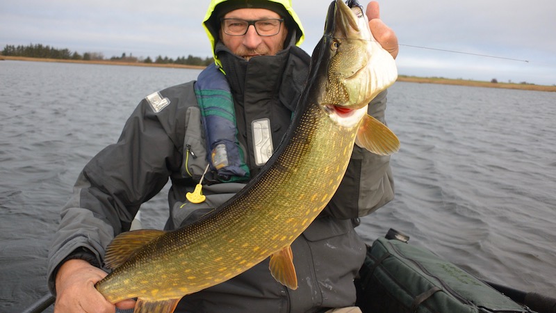 Brakvand, gedder og vind! - brakvand.com