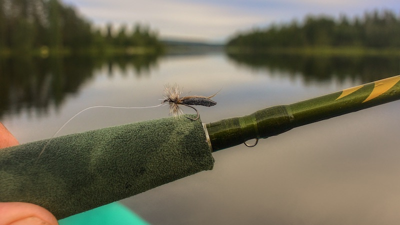 Selvforskyldt/gevinst! - brakvand.com