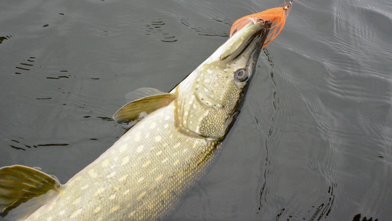 Vinter og hugperioder! - brakvand.com