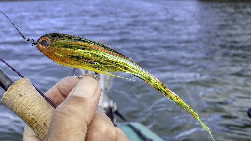 Beast: Flueliner til de helt store! - brakvand.com