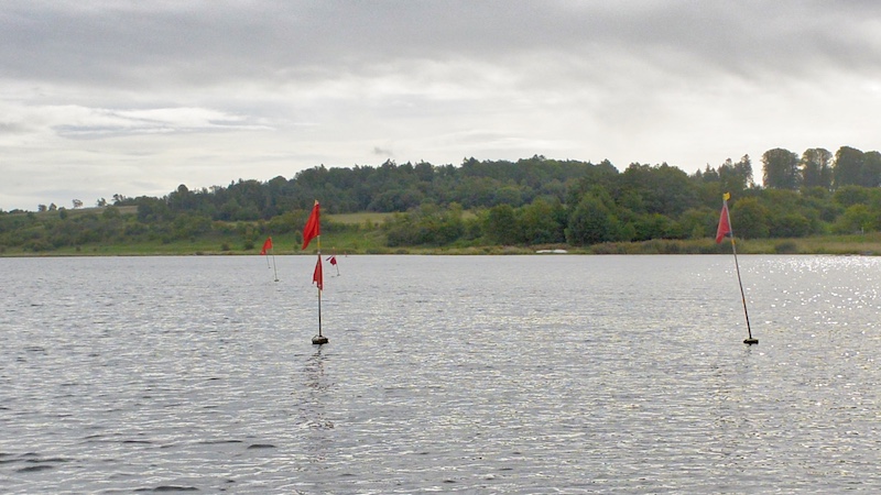 Ålen truet: hul i loven! - brakvand.com